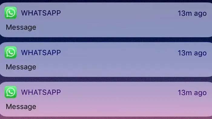 Cara Membisukan Notifikasi Chat WhatsApp Individu atau Grup, Ikuti ...