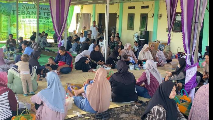 Syukuran Tebang Tebu, Petani Sumber Kulon Majalengka Optimis Hasil ...