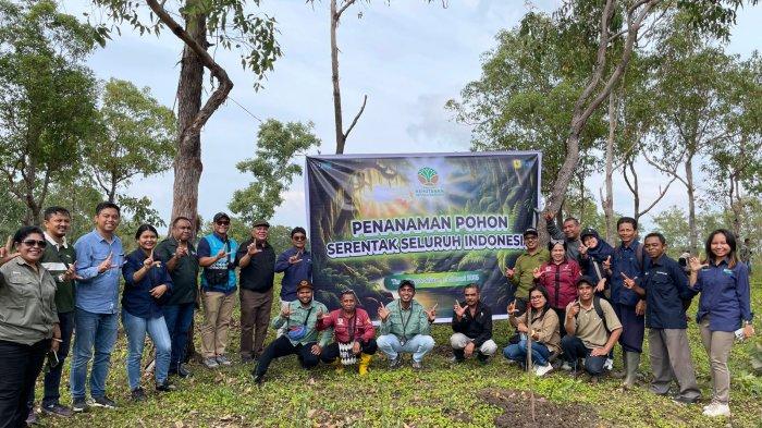 Aksi Tanam Pohon Serentak, PLN UIP Nusra Bersama UPT KPH Sebar Ratusan Bibit Pohon di TTS ...