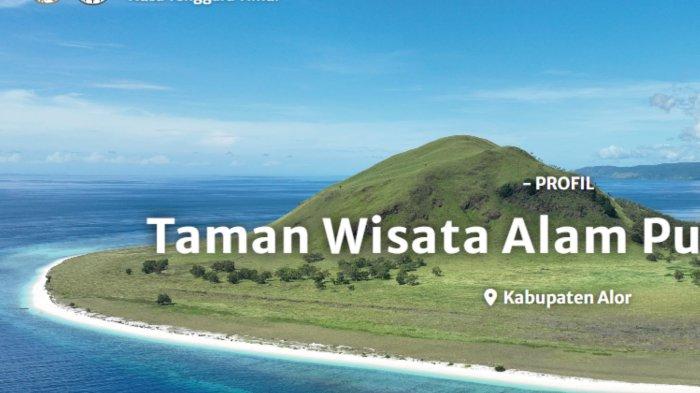 Pesona Taman Wisata Alam Pulau Batang di Alor NTT, Bisa Lihat Lumba ...