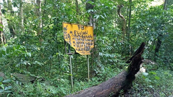 Rambu Penunjuk Jalur Evakuasi di Lereng Gunung Api Egon Sikka Rusak, Ini Kata BPBD Sikka ...