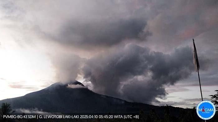 Selama 6 Jam Terakhir, Gunung Api Lewotobi Laki-laki 14 Kali Gempa ...