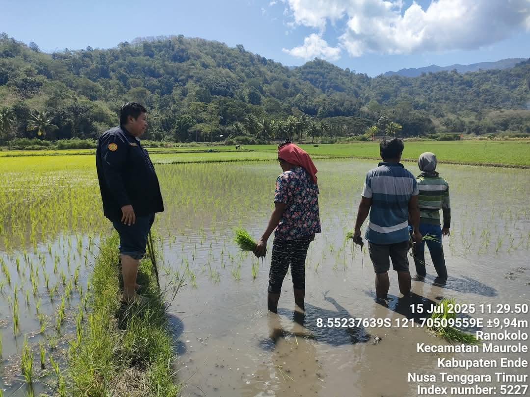 Tahun 2025, Masyarakat Ende NTT Dapat Alokasi Optimasi Lahan Seluas 1. ...