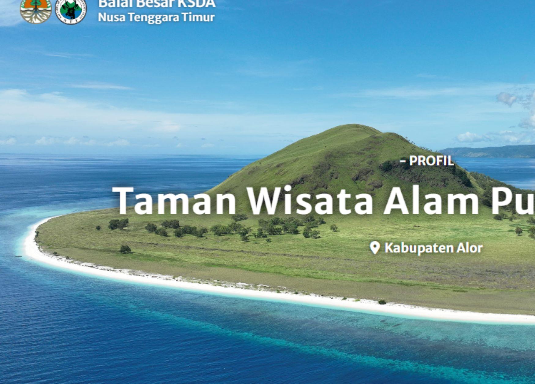 Pesona Taman Wisata Alam Pulau Batang di Alor NTT, Bisa Lihat Lumba ...