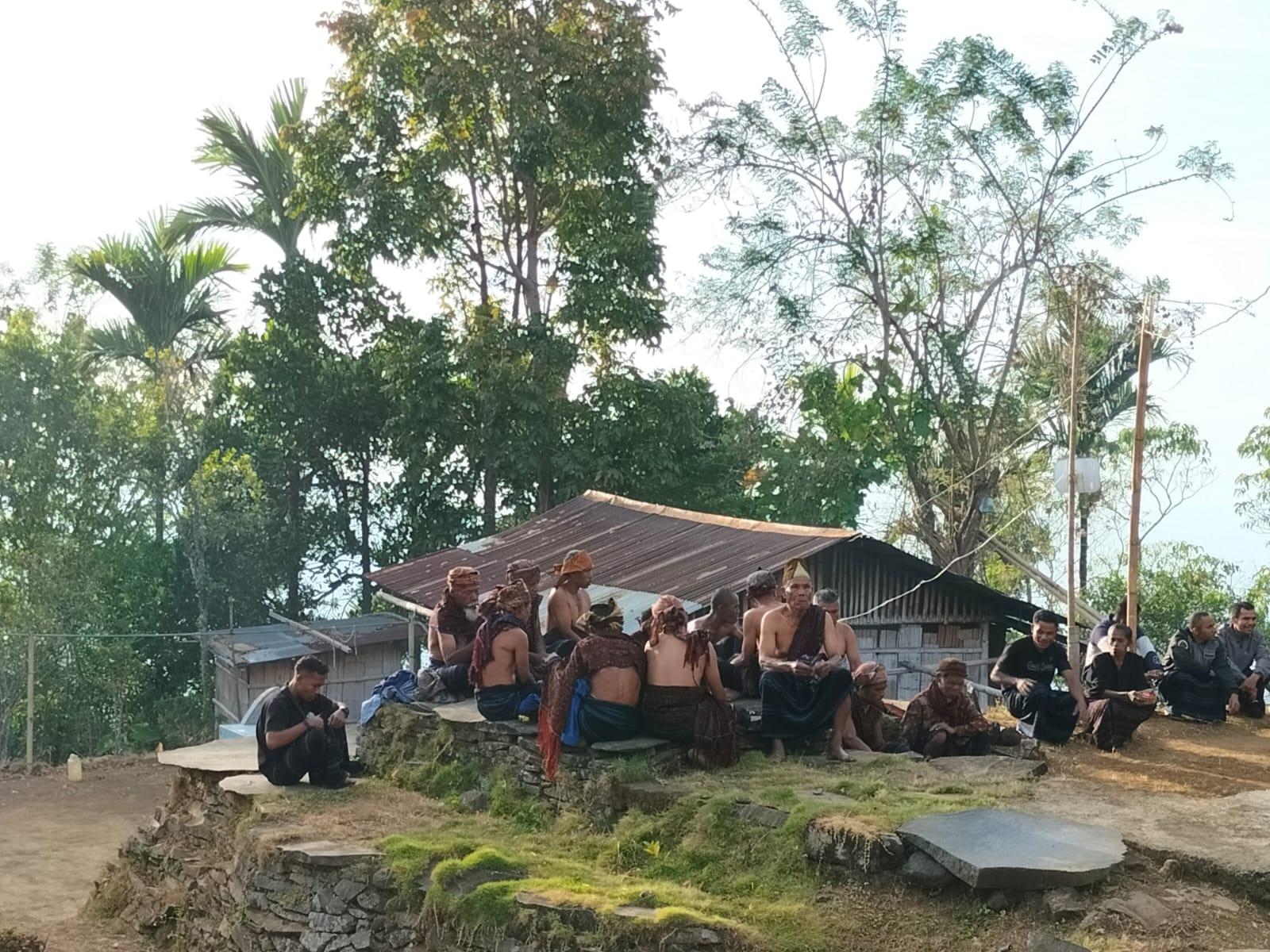 Festival Tedo Tembu Wesa Wela, Pesta Adat Sambut Musim Tanam di Desa ...