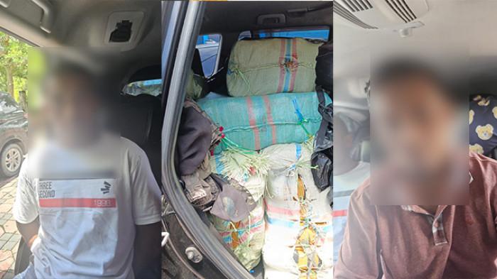 Mantan Kandidat Cabup Gayo Lues Ditangkap Bawa 200 Kg Ganja, BNNK: Kami ...