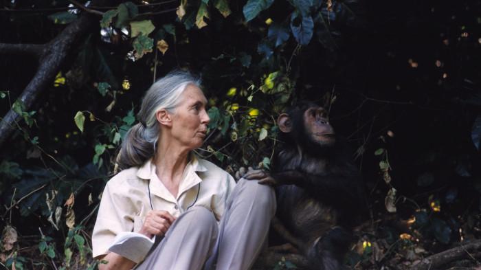 Sosok Jane Goodall, Ahli Primata Legendaris Meninggal Dunia di Usia 91 ...