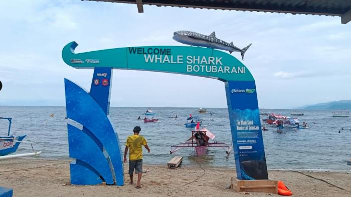 Wisata Hiu Paus Botubarani Gorontalo Punya Gapura Baru, Percantik ...