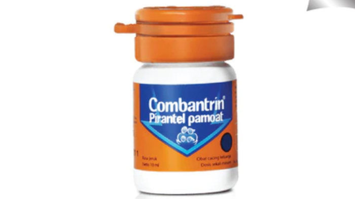 5 Rekomendasi Obat Cacing untuk Anak, Ada yang Tablet Kunyah dan Sirup ...