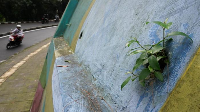 Mural Kusam dan Pudar di Jalan Siliwangi Kota Bandung - Tribunjabar.id