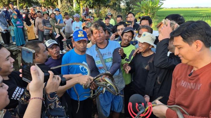 Lucky Hakim Targetkan Lepas 10 Ribu Ular untuk Atasi Tikus di Indramayu, Minta Petani Tak Takut ...