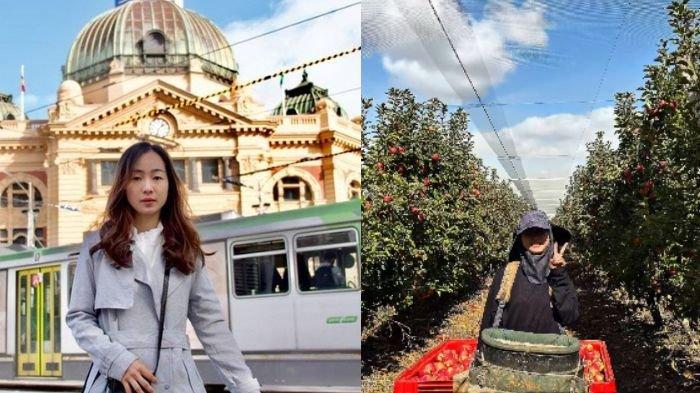 Dulu Kerja Kantoran di Bank, Merianti Banting Setir Jadi Pemetik Buah, Digaji Rp 300 Ribu Per ...