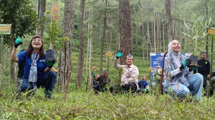 Kukang Jawa Dilestarikan Lewat Program Biodiversity di Hutan Karacak ...