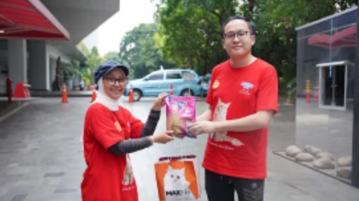 Kucingku Rayakan Cat International Day Lewat Aksi Peduli Kucing Jalanan ...