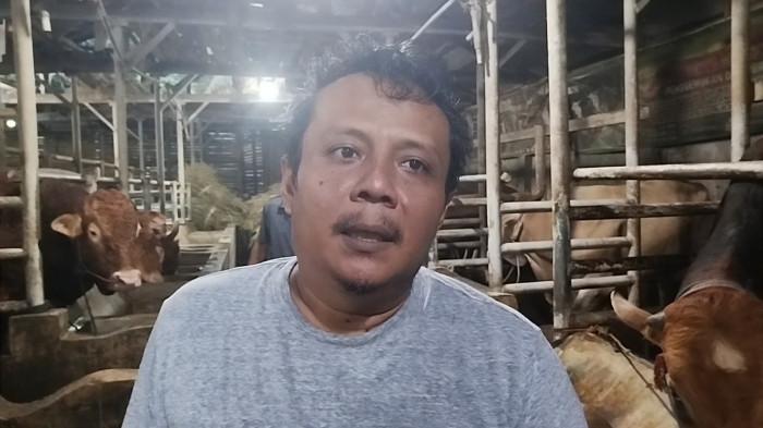 Mengenal Diego, Sapi Limosin Jumbo Asal Kuningan yang Dipilih Presiden ...