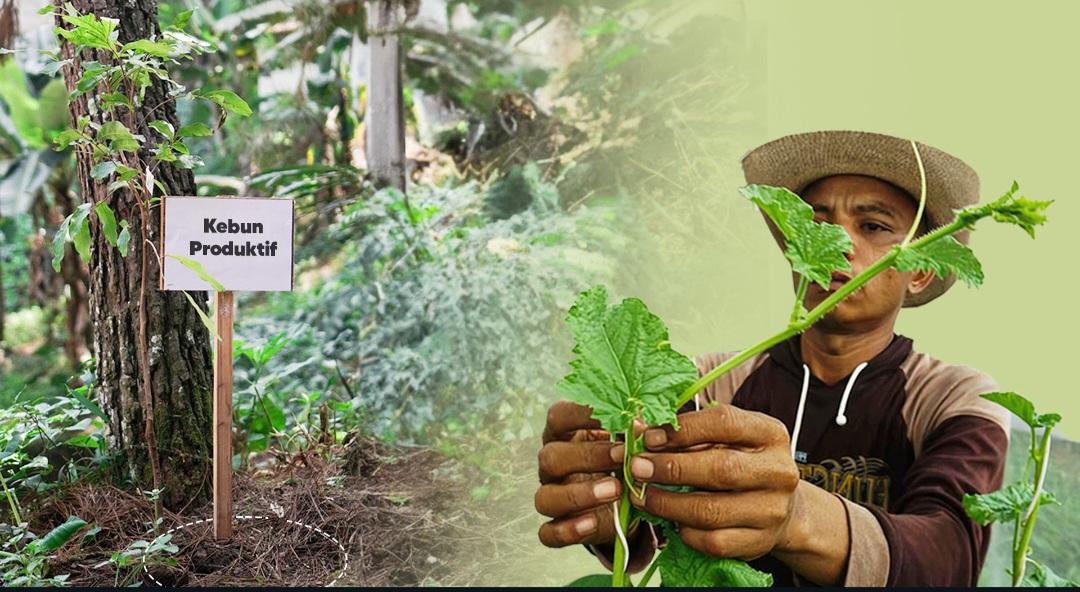Tanam Pohon untuk Masa Depan, Wakaf Salman Ajak Masyarakat Tingkatkan Kemaslahatan Umat ...