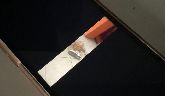 Cara Membuat Reels Rasio 5210 x 1080 yang Viral di Instagram, Gampang ...