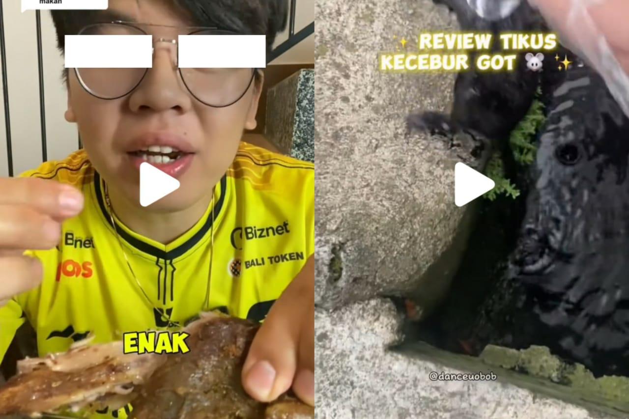 Viral, Aksi Tiktoker Asal Bandung Nekat Makan Tikus Got Digoreng Pakai ...