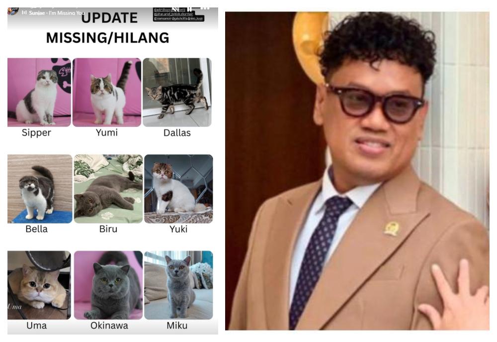 Soal Kucing Uya Kuya, Polisi Bakal Minta Keterangan Sherina Munaf ...