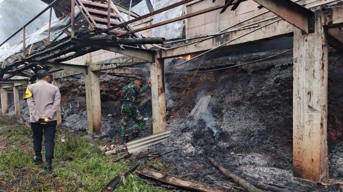 Penyebab Kebakaran Kandang Ayam Senilai Rp 3 Miliar di Semarang, Diduga Korsleting Blower ...