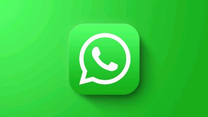 Apa Beda Tema WhatsApp dengan DIY Tema di GB WhatsApp? - Tribunjateng.com
