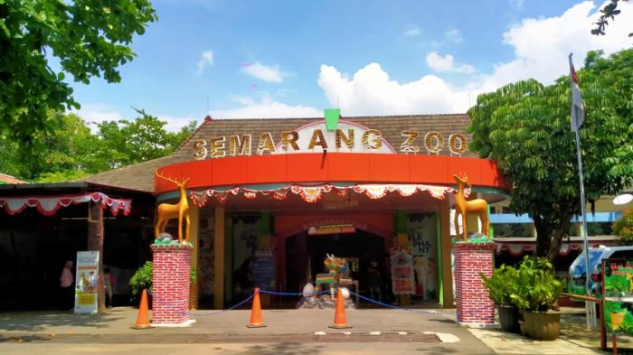 Heboh Isu Macan Semarang Zoo Dijual, Disbudpar Semarang Ingatkan ...