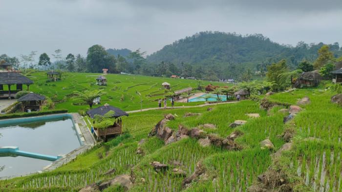 Transformasi Melung dari Desa Tertinggal ke Desa Maju di Banyumas, Kini ...