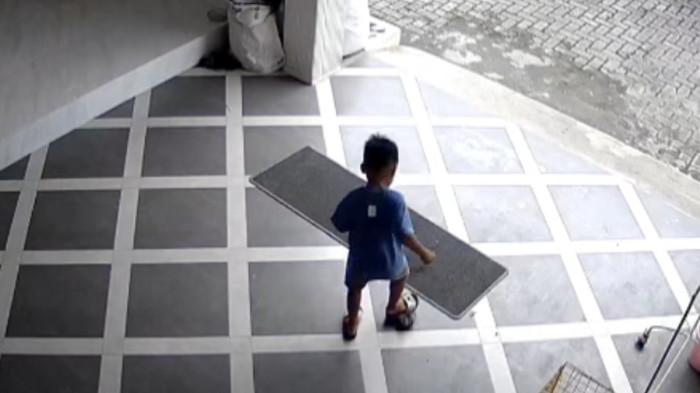 Viral Bocah Aniaya Kucing Tetangga sampai Mati, Orang Tua Janji Ganti ...