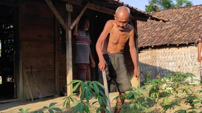 Kisah Mbah Sastro, Berusia Seratus Tahun Lebih: Belum Pikun, Masih Bisa ...