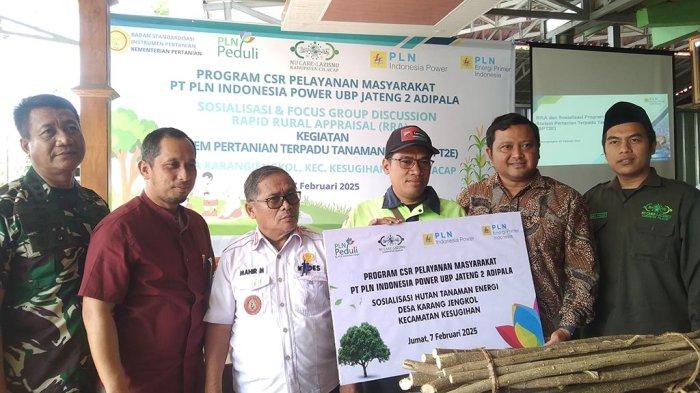 10 Hektar Lahan di Cilacap Ditanami Kaliandra dan Gamal untuk Energi ...