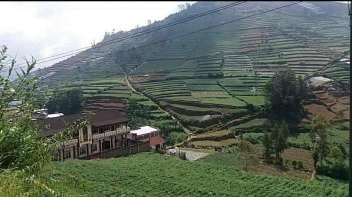 Degradasi Lahan di Kawasan Dataran Tinggi Dieng kKan Mengkhawatirkan ...