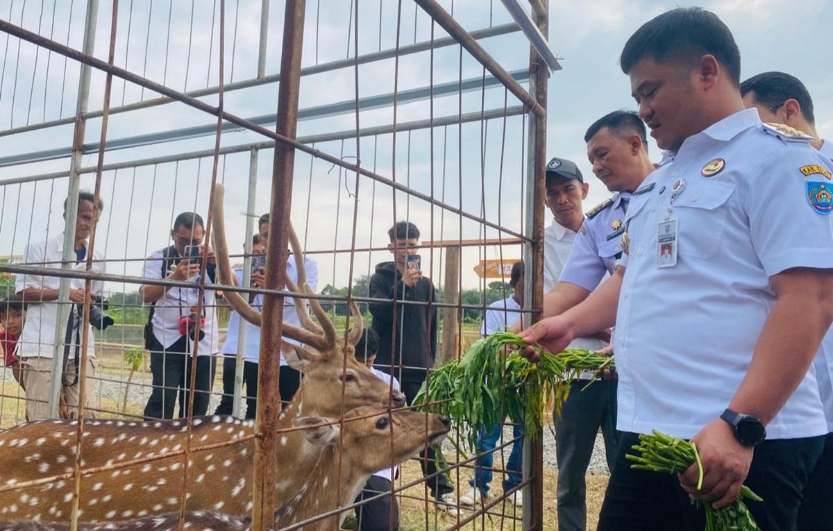Bupati Tegal Groundbreaking Sabin Garden: Wisata Edukasi Mini Zoo Baru ...
