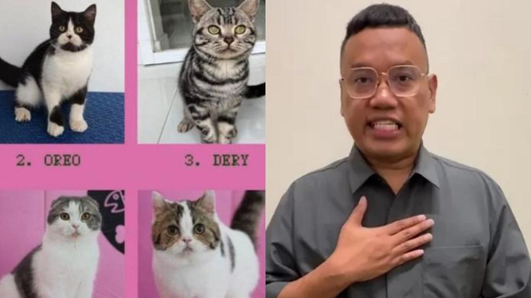 Daftar 12 Nama Kucing Uya Kuya yang Dijarah: Baru 2 yang Ditemukan ...