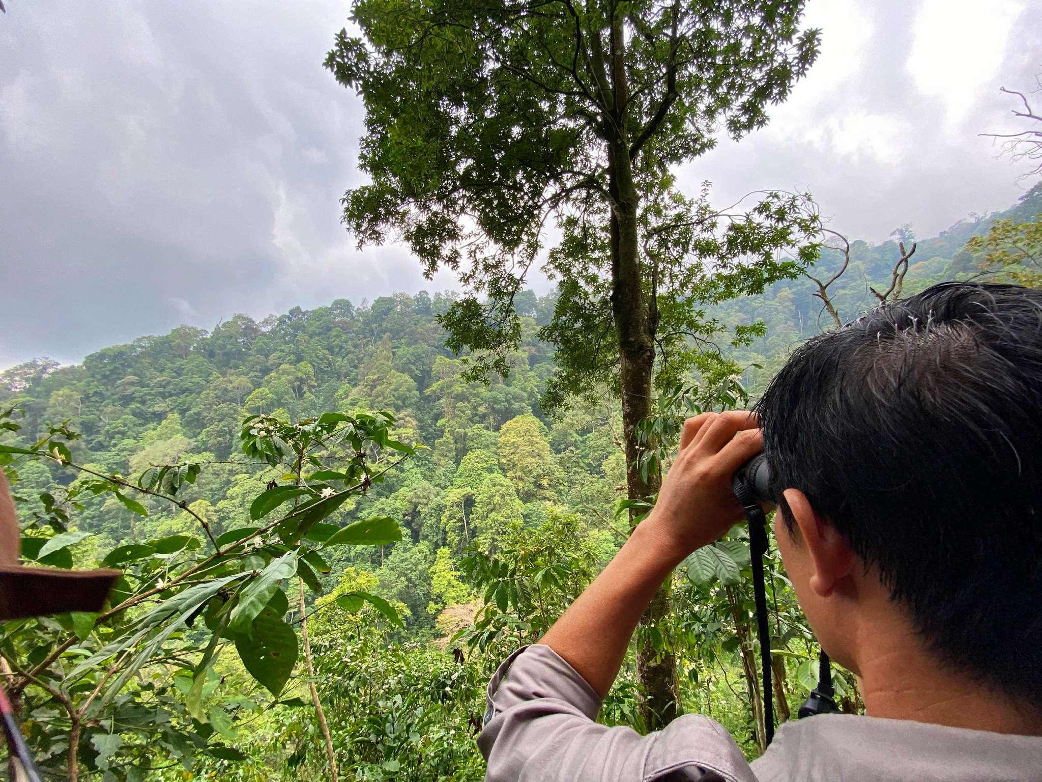 Kendala Menjaga Hutan Ungaran: Cerita Supolo Tentang Perburuan Liar dan ...