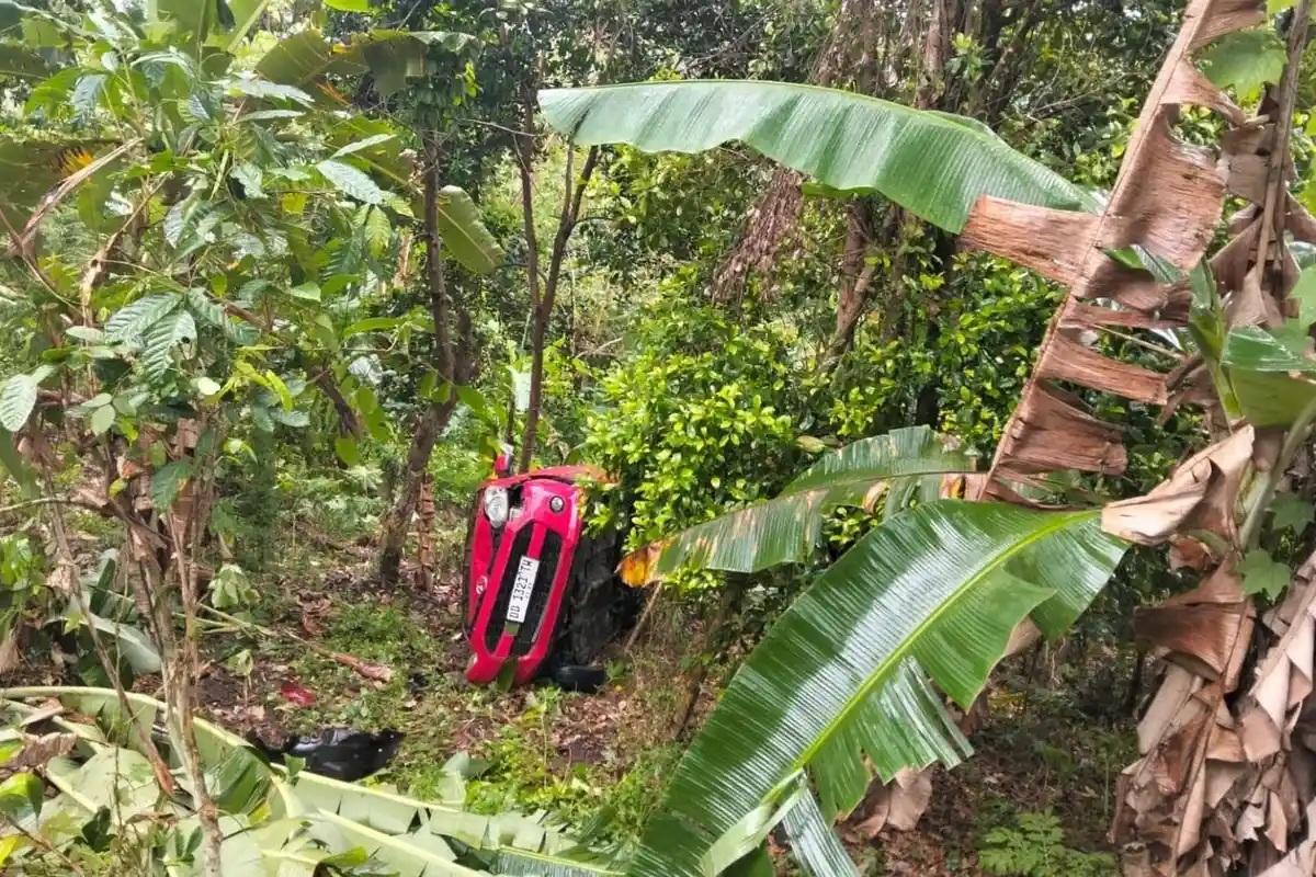 Detik-detik Ayla Merah Terjun ke Dalam Jurang, Begini Kondisi Sopir dan Penumpangnya ...