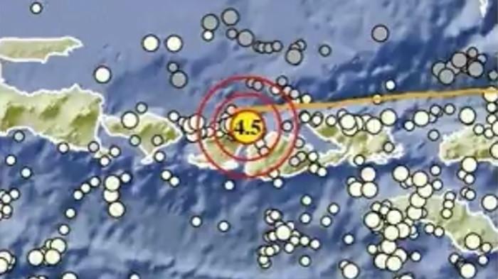 Gempa Baru Saja Terjadi Pagi Tadi, Minggu 10 Agustus 2025, Cek Jarak ...