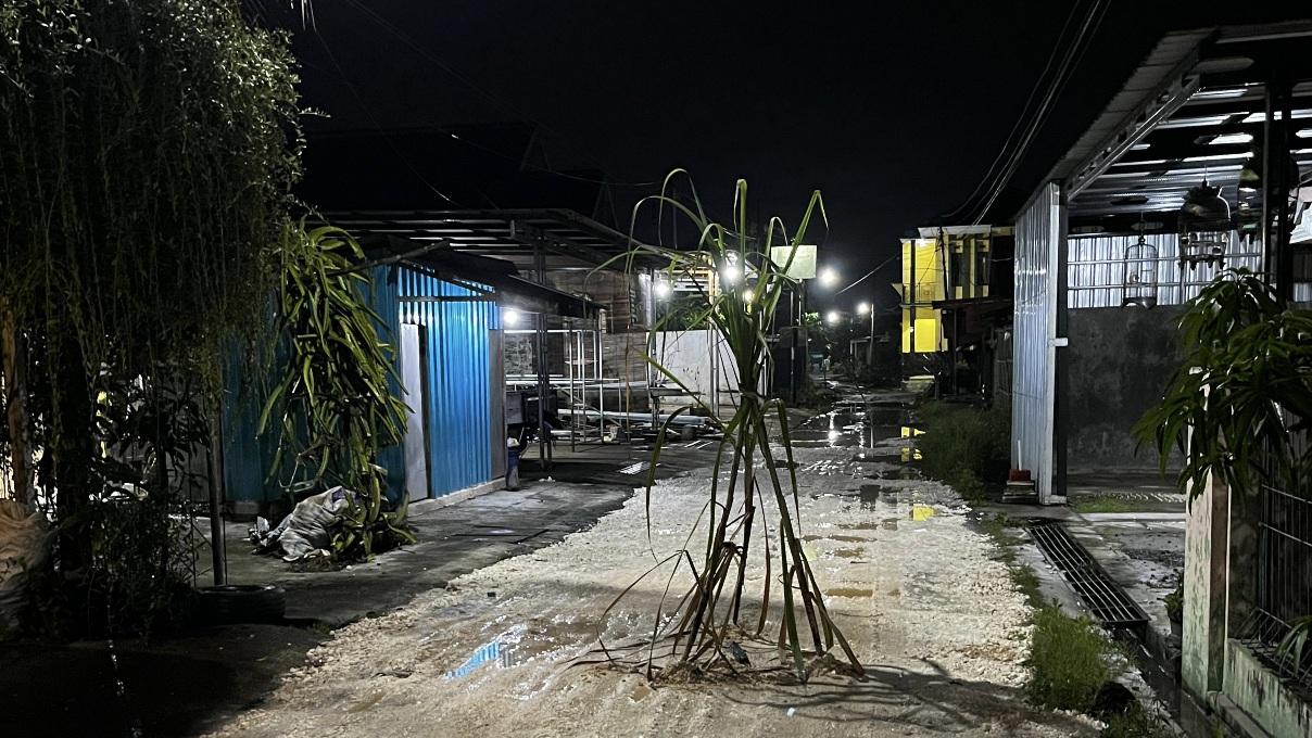 Viral Jalan Rusak di Batursari Pati Ditanami Tebu, Kades Beri ...