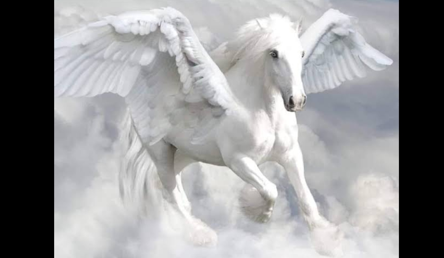 Mengenal Buraq Kendaraan Nabi Muhammad dalam Isra Miraj, Awalnya Sangat ...