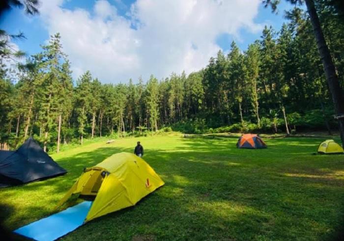 10 Rekomendasi Wisata Tegal 2025: Rumah Angsa, Guci, Pantai hingga ...