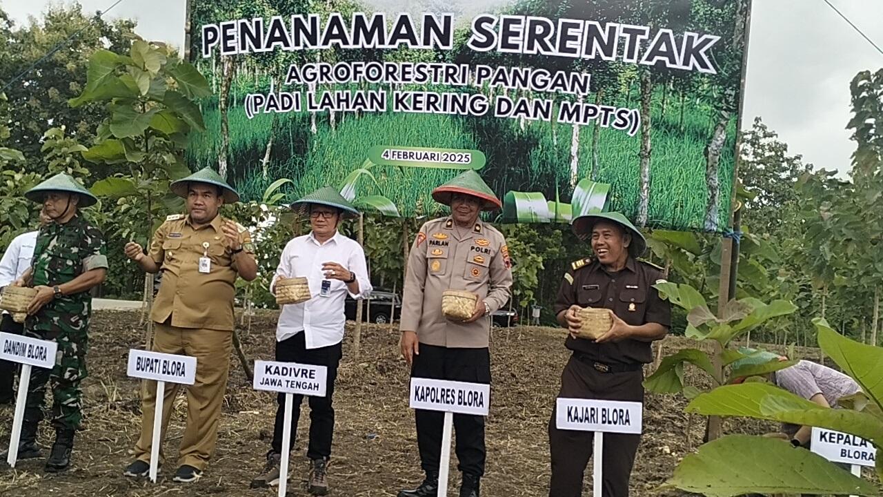 Bupati Blora Arief Rohman Tanam Padi Gogo Bersama Perhutani untuk Dukung Swasembada Pangan ...