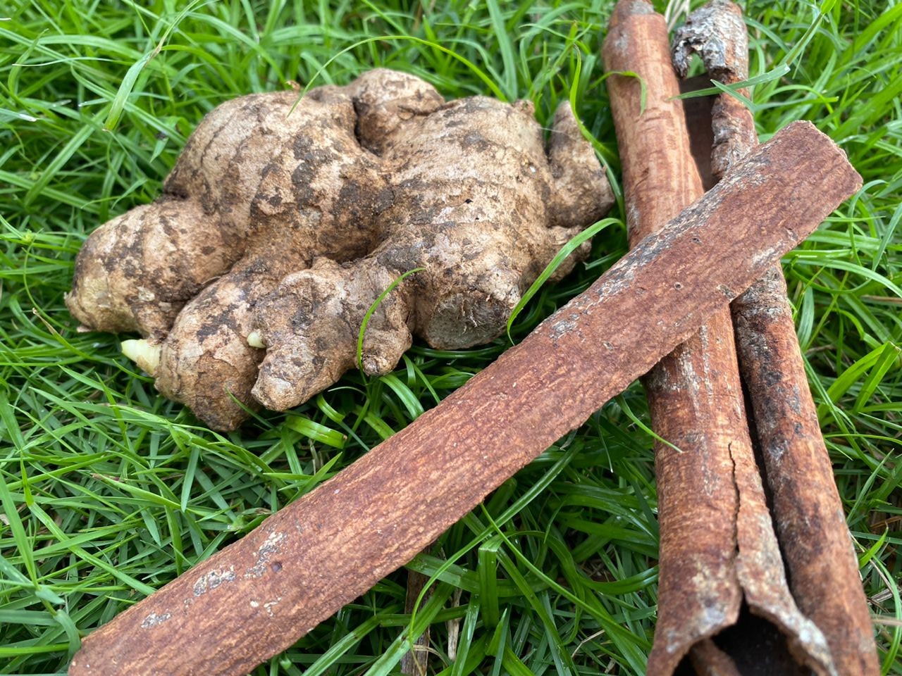 Manfaat Ajaib Air Rebusan Jahe dan Kayu Manis bagi Kesehatan Tubuh ...