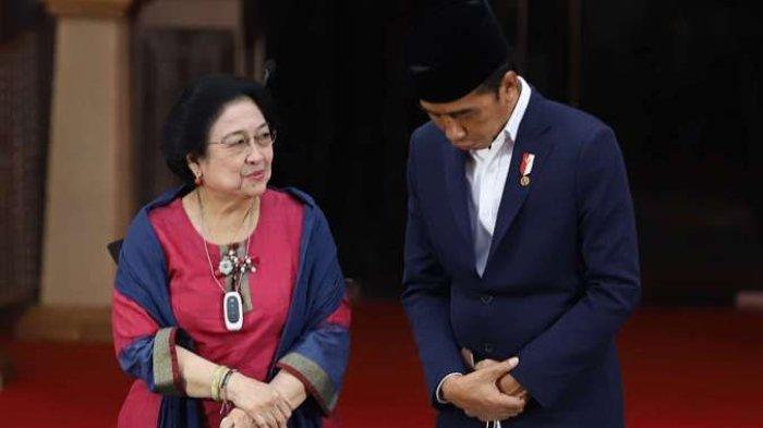 Kata Sekjen PDIP soal Kabar Jokowi Minta Ketemu Megawati - Tribunjateng.com