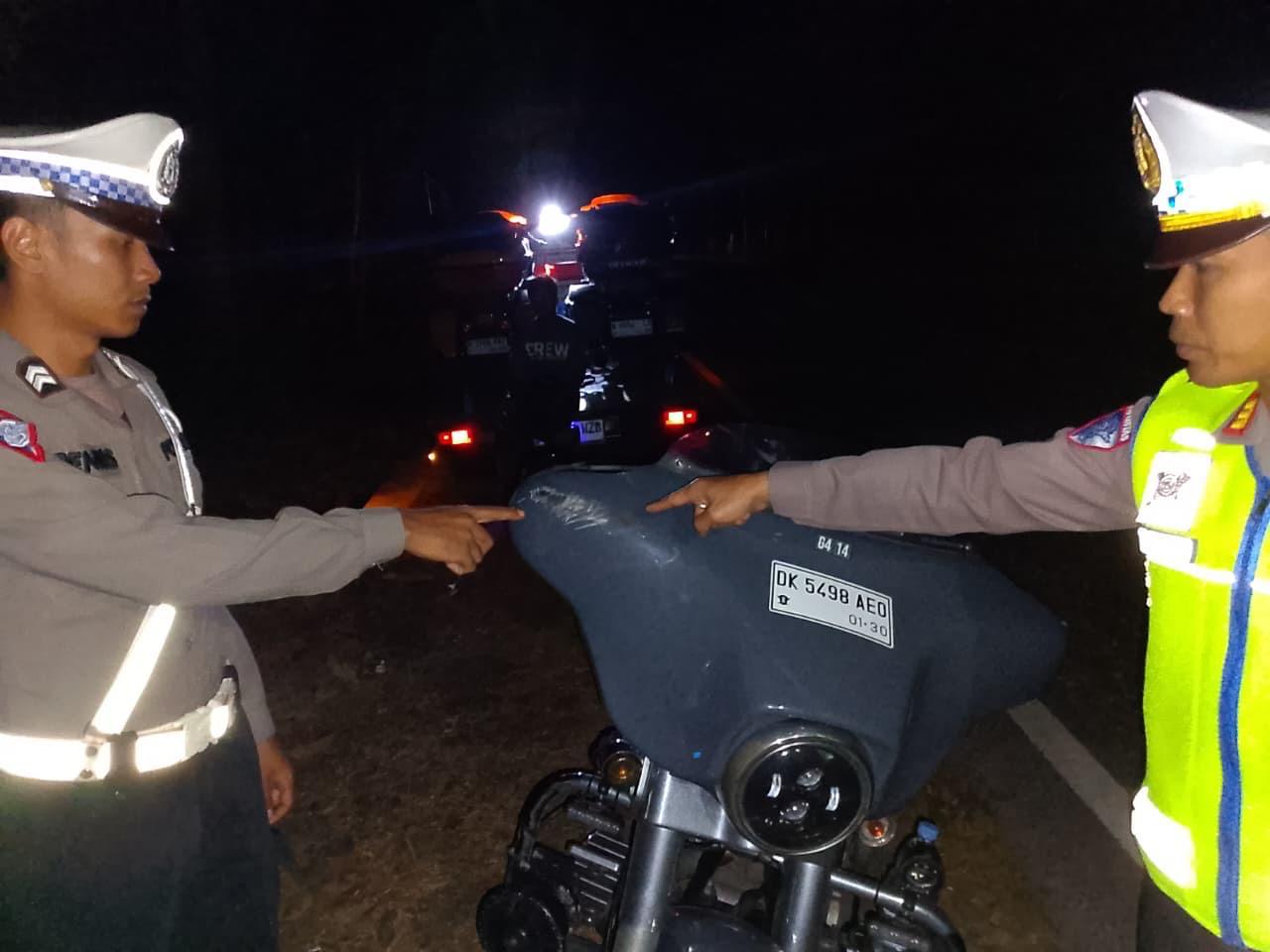Lagi, Pengendara Moge Tewas dalam Kecelakaan di Jalan Raya Hutan Baluran Situbondo - tribunjatim ...