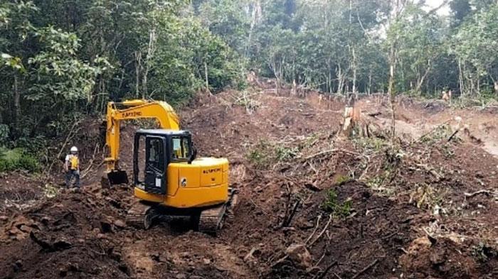Penanganan Longsor Cangar Pakai Trap Bambu, Ini Alasan Urung Pakai ...