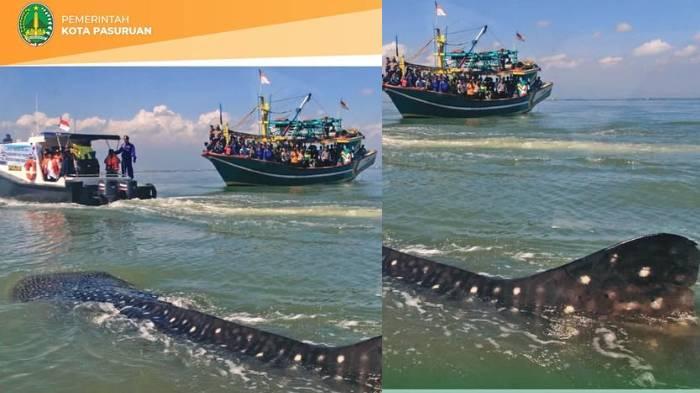 6 Fakta Menarik Pasuruan, Kota Santri yang Kaya Budaya, Terkenal akan ...