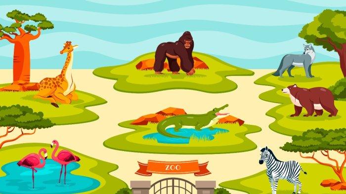 Klasifikasi Kingdom Animalia : Penjelasan, Karakteristik Beserta ...