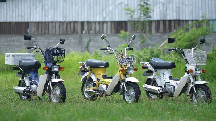 Honda Chaly CF50, Motor Imut yang Aman Dikendarai - Tribunjogja.com