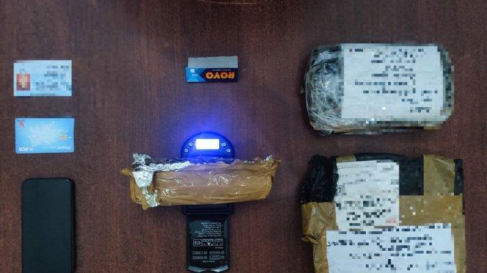 BNNP DIY Amankan Dua Pelaku Penyalahgunaan Ganja - Tribunjogja.com