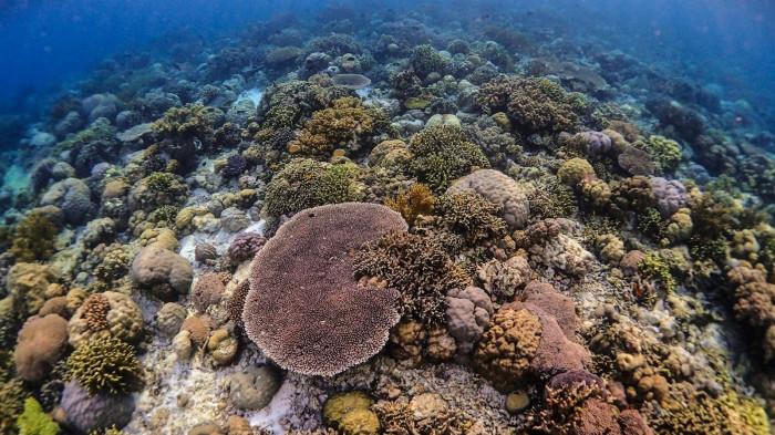 7 Wisata Surga Tersembunyi untuk Honeymoon di Indonesia, Romantis dan ...