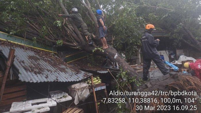 Dari Pohon Tumbang Hingga Atap Terbang, Ini Deretan Insiden Akibat Hujan Deras di Kota ...